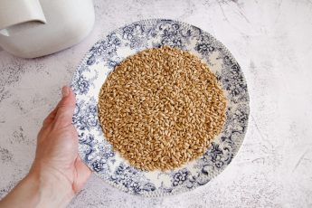 Milling Flour at Home: A Beginner's Guide - Aberle Home