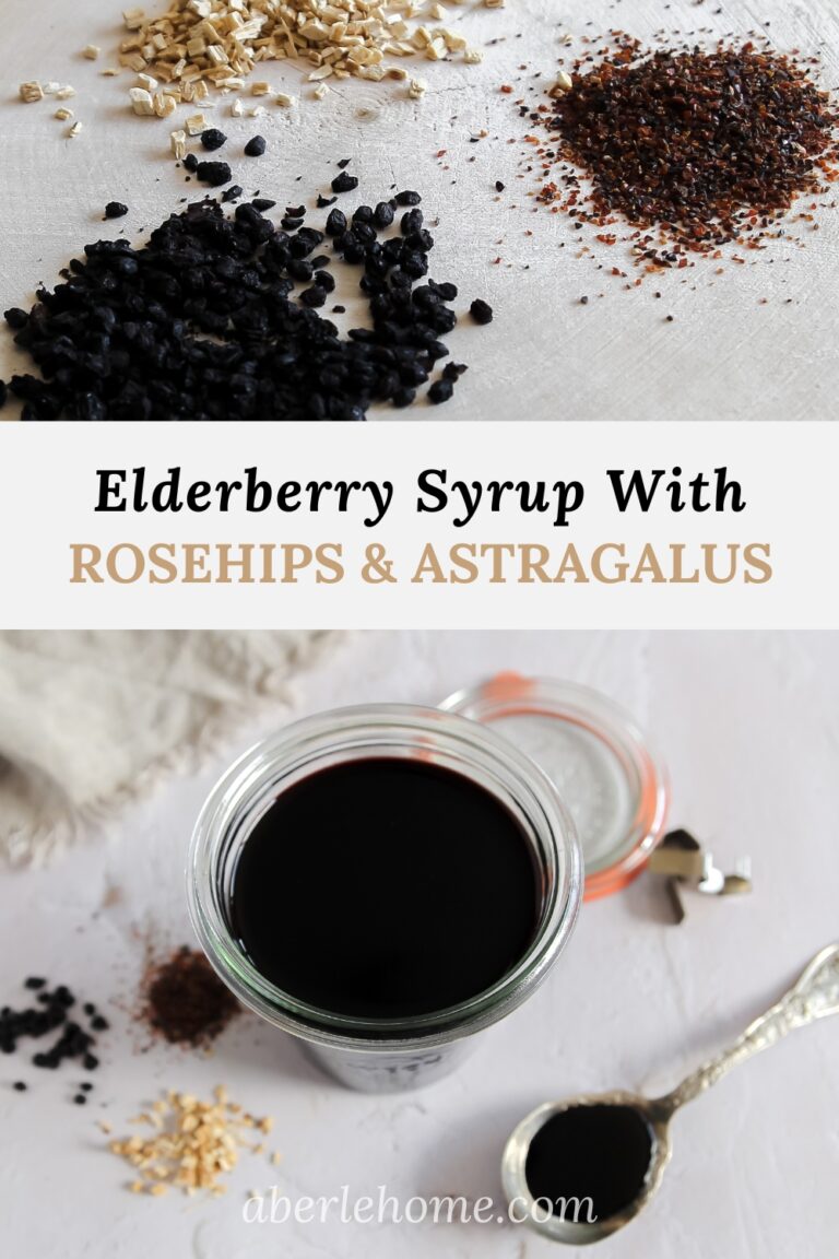 Elderberry Syrup With Rosehips and Astragalus - Aberle Home