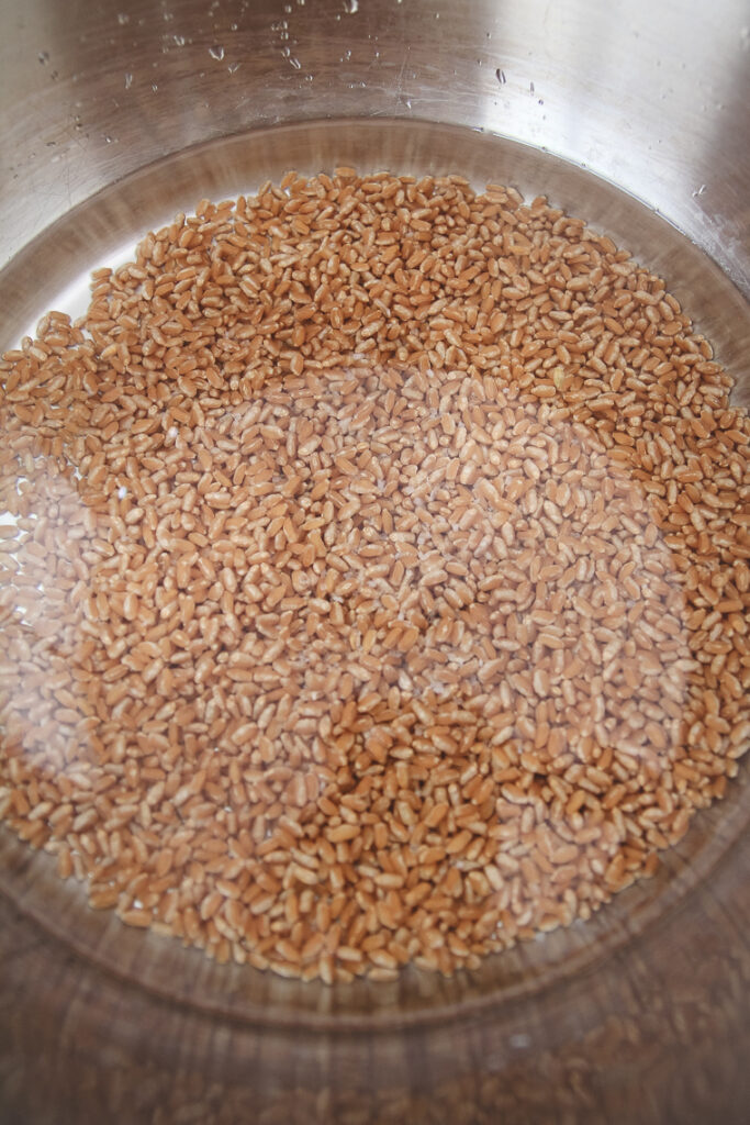 How to Cook Wheat Berries (Stove or Instant Pot) - Aberle Home